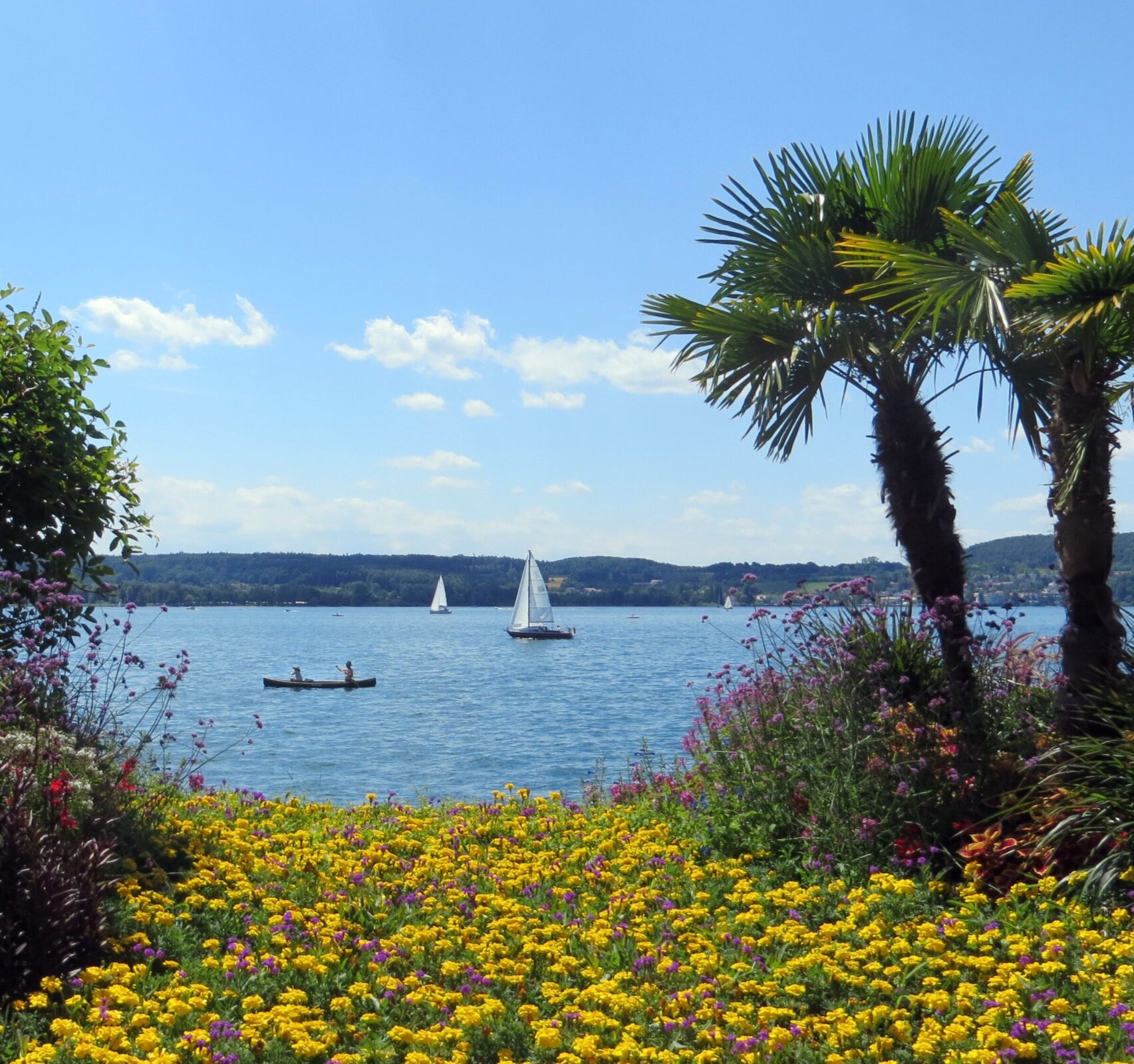 Überlingen – Barbelgängle – Bauen mit Löffler